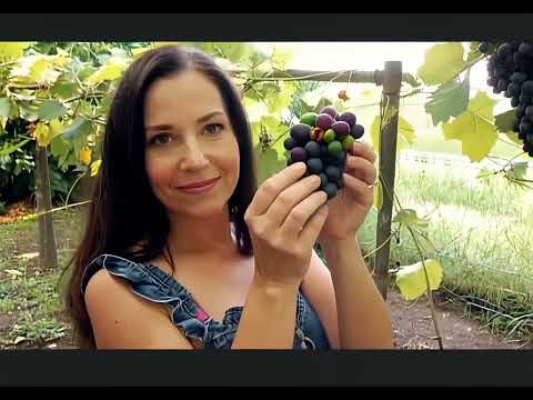 LZS in the countryside #look #style #outfit #grape #nature