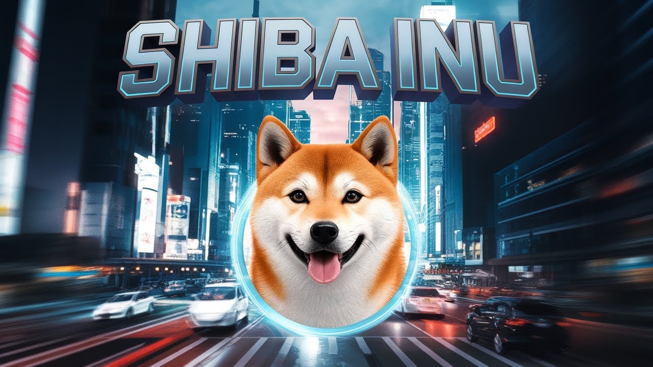 Diving Deep into the Shiba Inu Token World! - YouTube