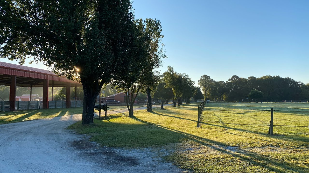 Whitney @ Hanover Stables Level 2 Test 2 - YouTube