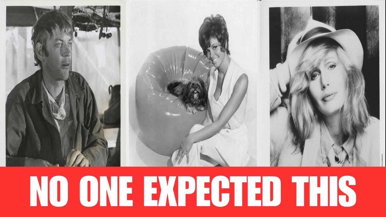 Unveiling Hawkeye & Trapper's Hidden Secrets: The Juicy Behind-the ...