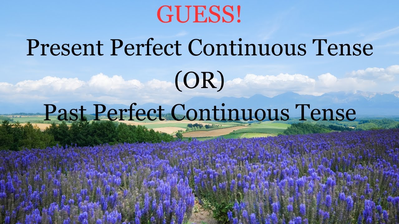 Quiz on Present or Past Perfect Continuous Tenses Quiz - 20/English ...