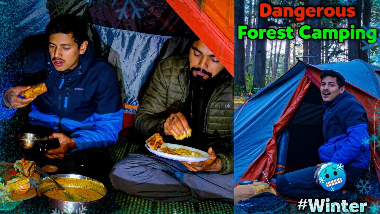 Group Camping In Deep Forest At Night | Winter Camping In Uttarakhand ...