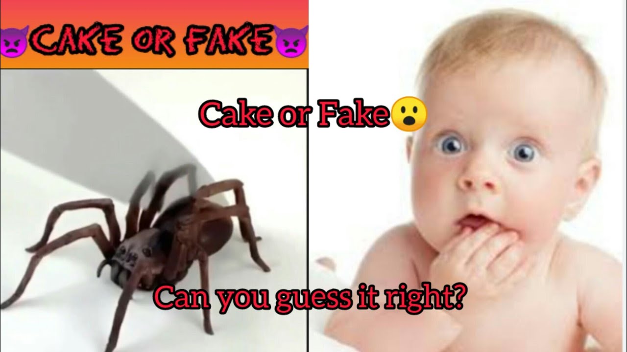 cake or fake challenge 😮 ️ |series 2 |real vs fake challenge fake vs ...