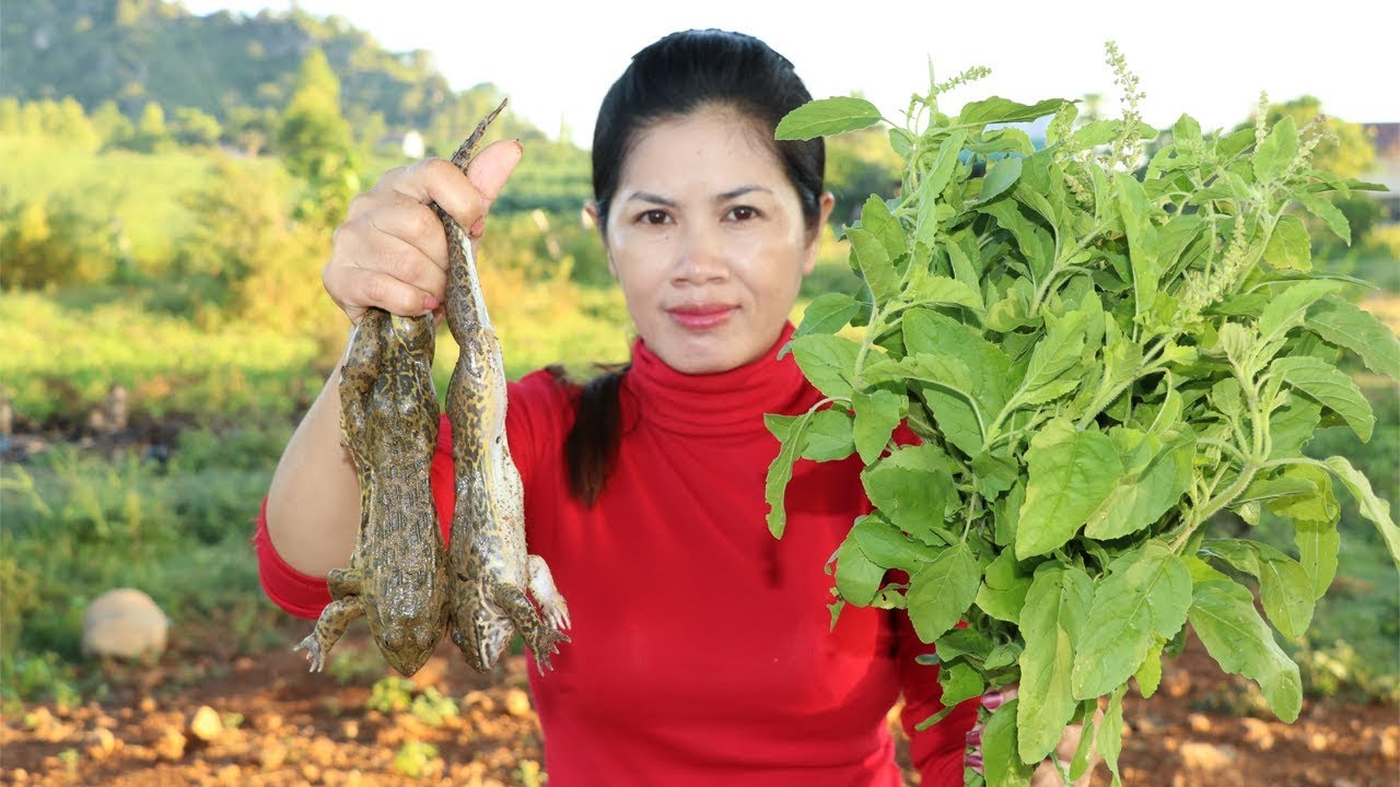 Awesome Cooking Frog With Vegetable Recipe - Cook Frog Recipes ...