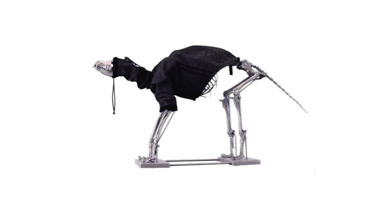 G-STAR RAW Dogs 360 - YouTube
