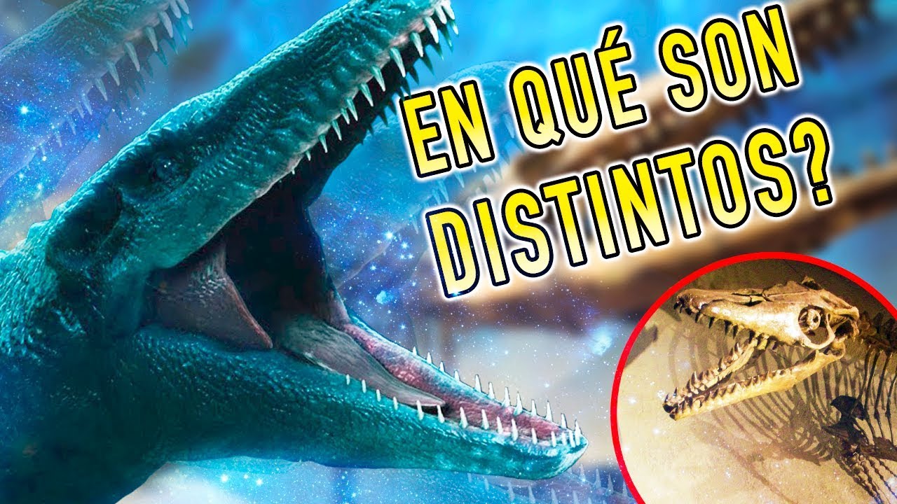TODO SOBRE MOSASAURUS : Jurassic World VS Ciencia | ¿Llegó A Ser Real ...