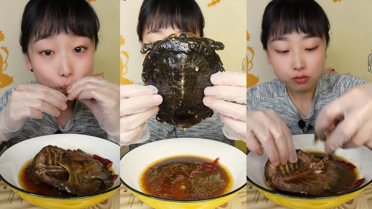 Asmr Chinese Food Mukbang Eating Show girl eating a turtle - YouTube