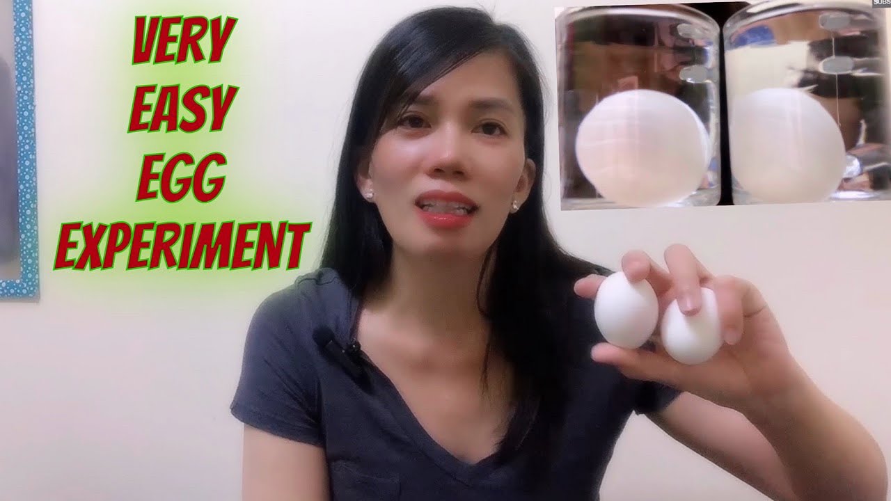 EASY AND AMAZING EGG EXPERIMENT - YouTube