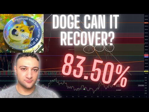 Doge: CAN IT GO TO THE MOON AGAIN?