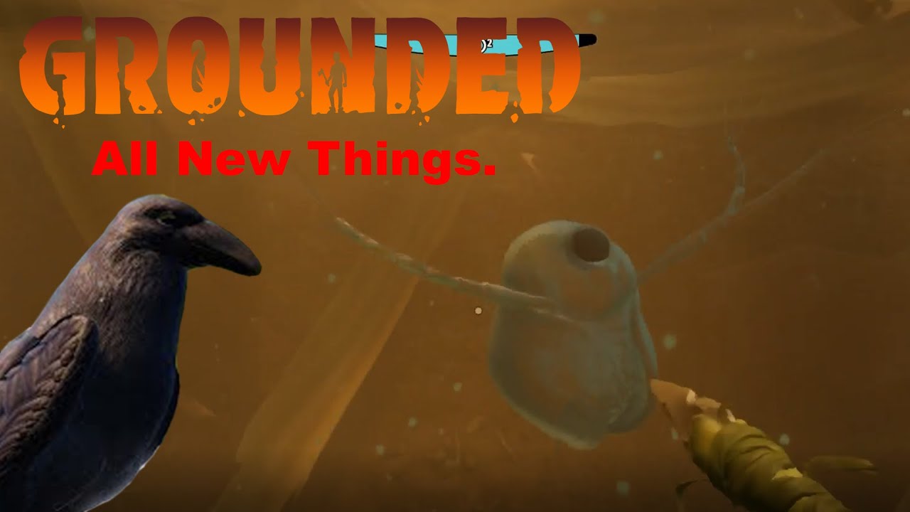 Grounded Ep 7 Killing Mites and Finding Fleas - YouTube