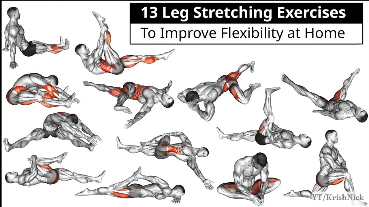 10-Minute Leg Stretching Exercises To Improve Flexibility at Home - YouTube