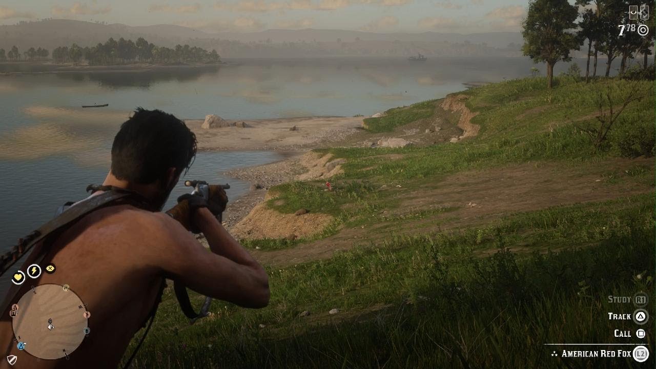 RDR2:Rip fox - YouTube