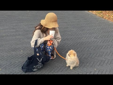 저의 네덜란드 아침을 공유합니다 ❤️🇰🇷🇳🇱My morning ratine in the Netherlands 🥹