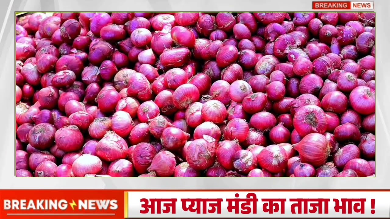 18 जुलाई 2024 इंदौर मंडी | Indore Mandi Pyaj bhav | Aaj ka pyaj ka bhav ...