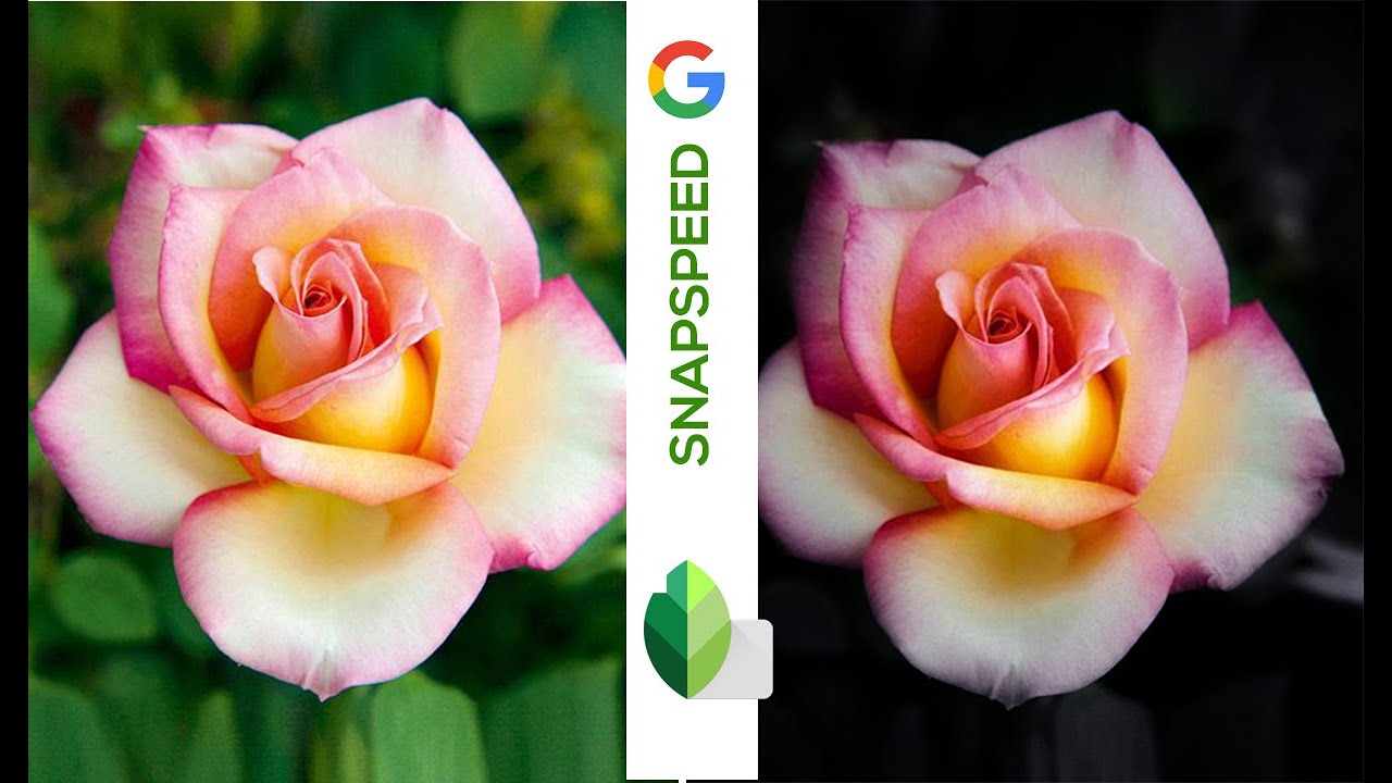 How to Edit flower photo in Snapseed ANDROID & IPHONE - YouTube
