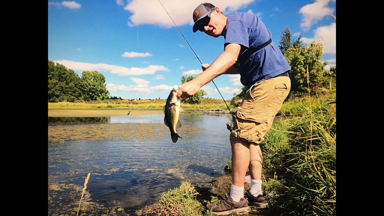 Bass Fishing in a small pond - YouTube