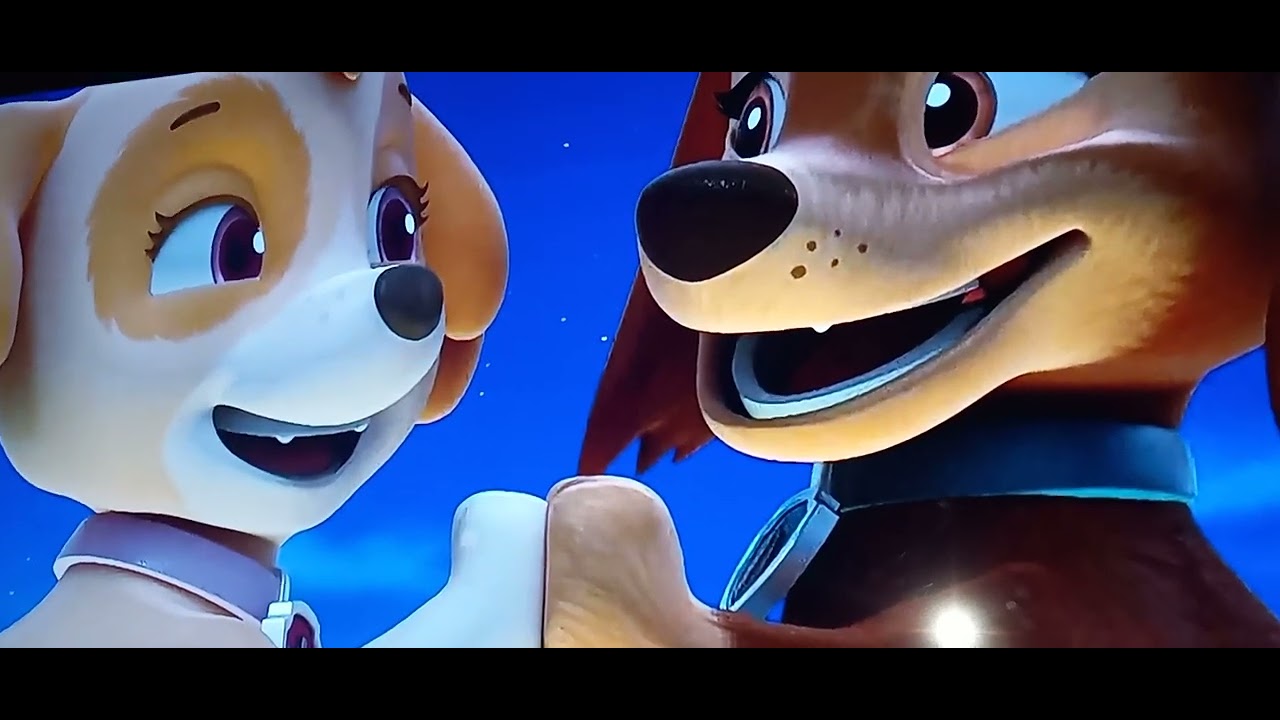 Paw Patrol Liberty And Skye Fart Together Youtube