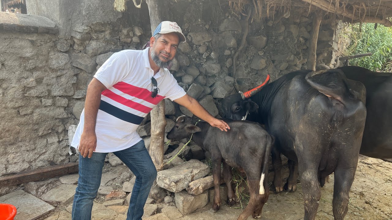 Manjaram Village, Biloli Taluqa, Nanded District, A visit in Vacation ...