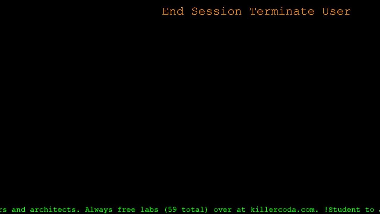 Linux beginner to enterprise engineering - Working on ProLUG Labs, the book, and monitoring ...
