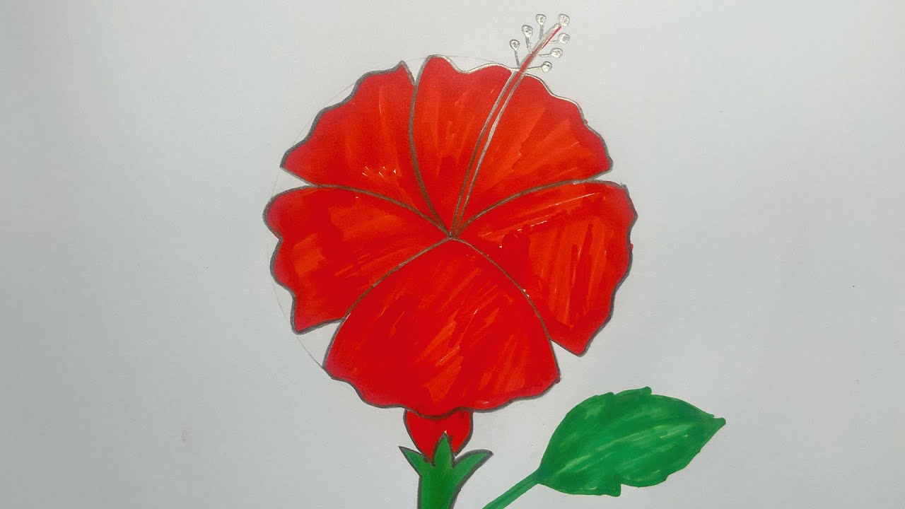 Joba Ful Drawing | Diba Drawing Academy - YouTube