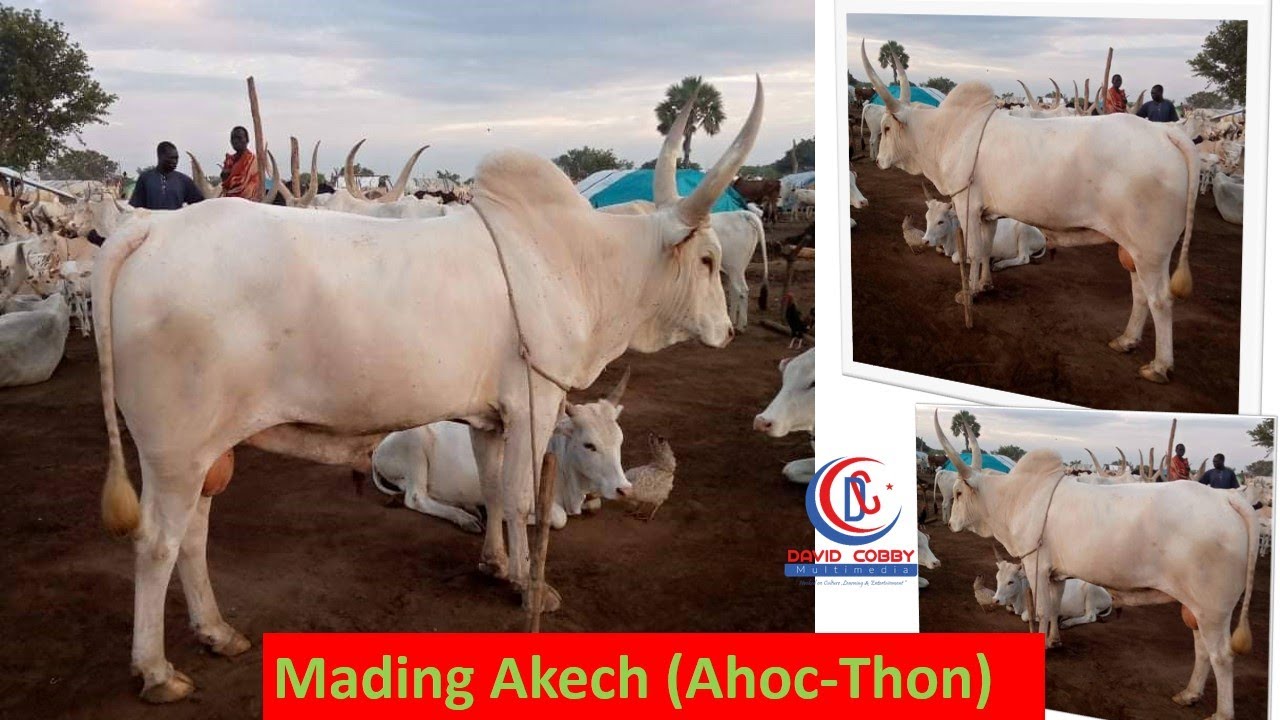 Dinka Agaar: Mading Akech (Ahoc-Thon) from Maleng-Agok Payam - YouTube