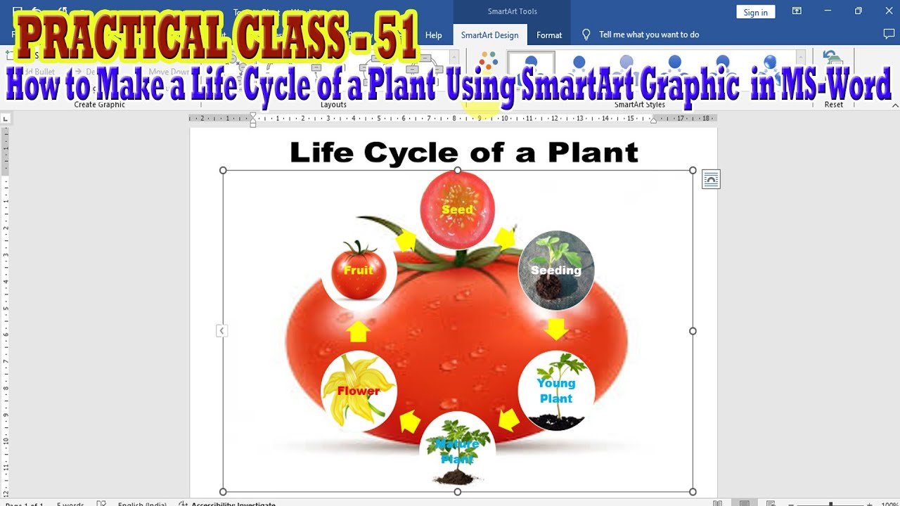How to make a life cycle of a plant using SmartArt graphic in ms word ...