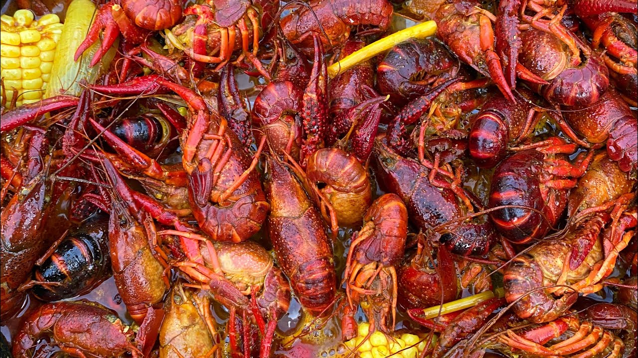 One man and crawfish ground lobster 😂 - YouTube