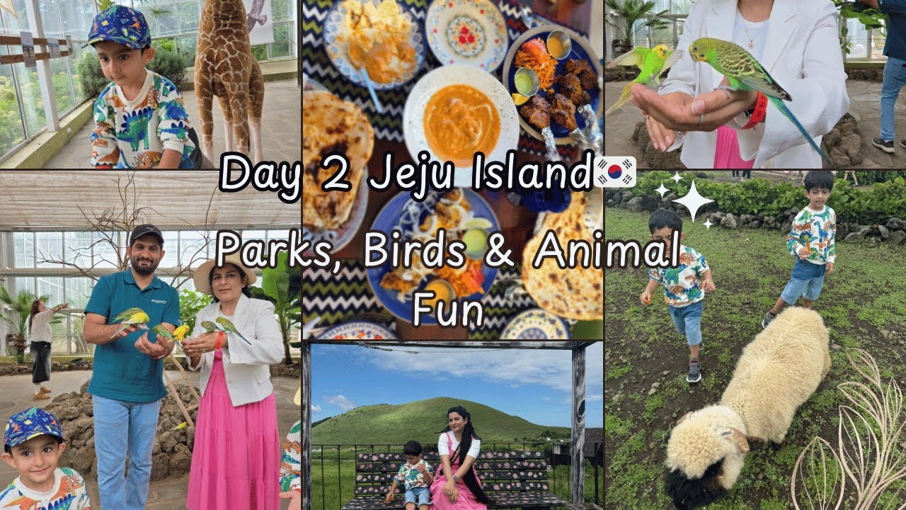 Pakistani Family Explores Beautiful Parks & Animal Farms in Jeju Island ...