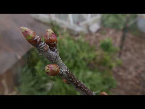 Short Movie and Slideshow