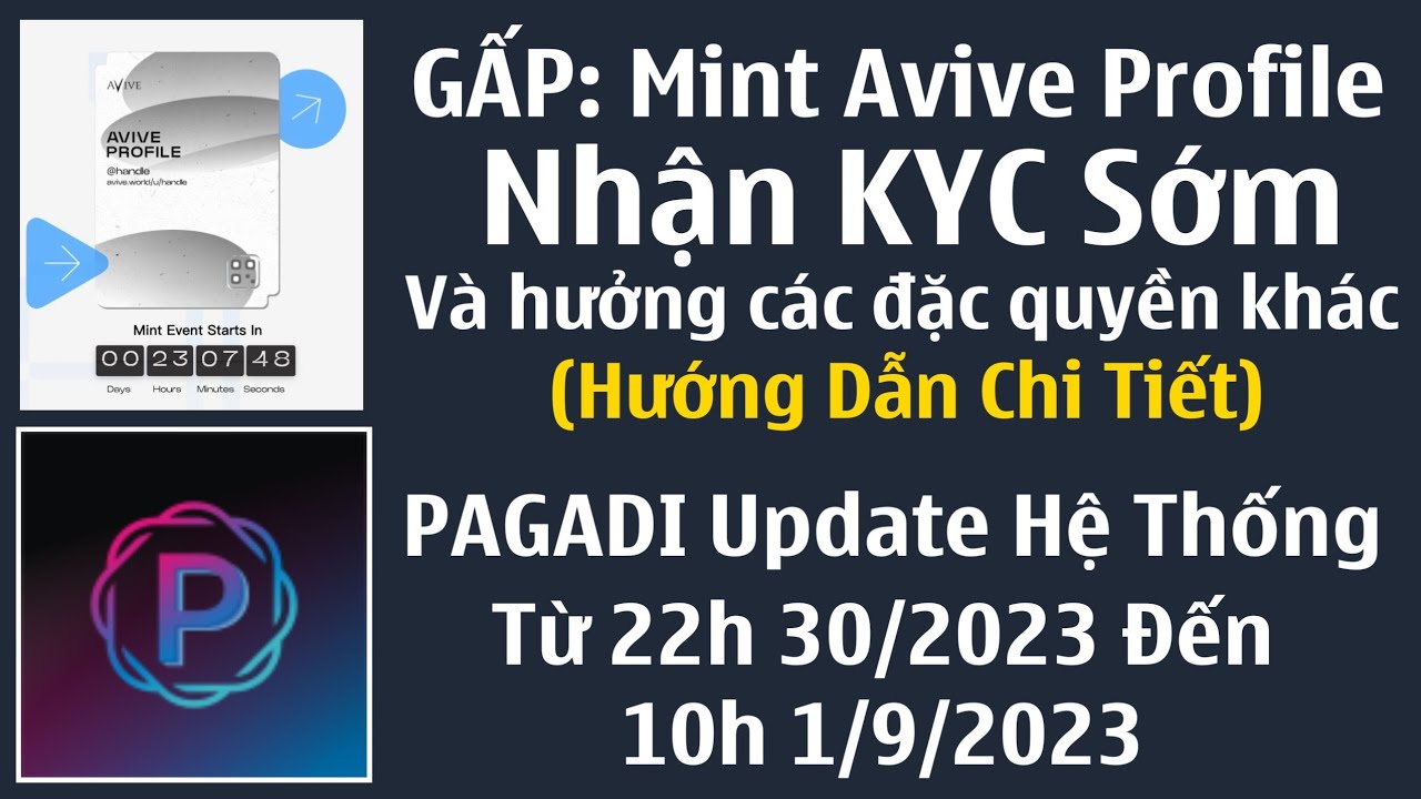 GẤP: Mint Avive Profile Nhận KYC Sớm (Hướng Dẫn Chi Tiết) | PAGADI Update Hệ Thống Đến 10h 1/9 ...