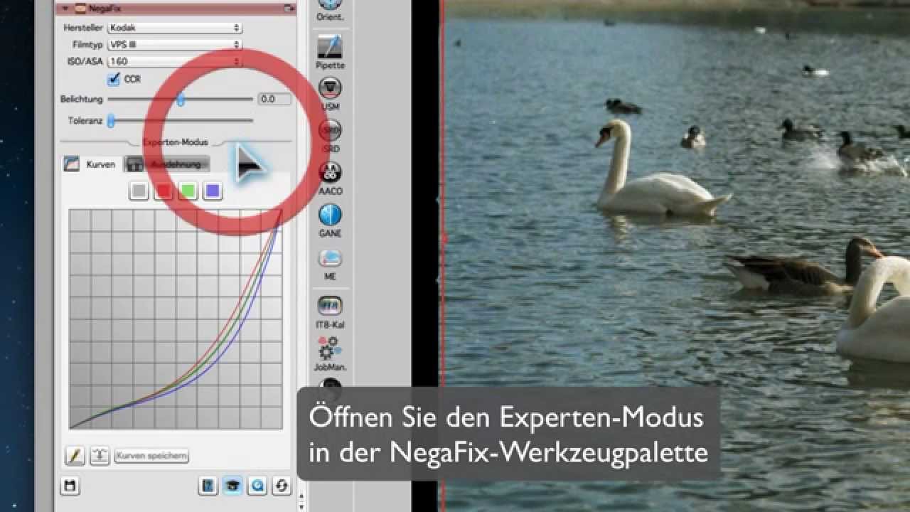 SilverFast 8 NegaFix Profile - YouTube