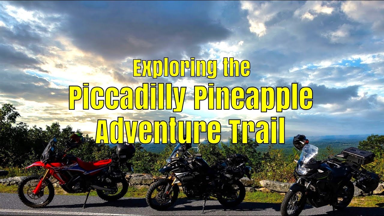 Exploring the PPAT Piccadilly Pineapple Adventure Trail - YouTube