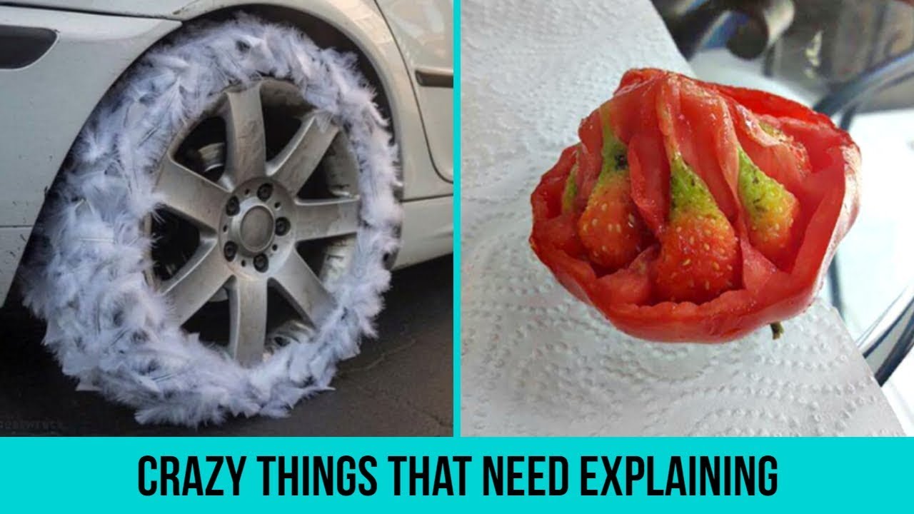 30+ Curious Photos Where Crazy Things Are Happening That Can’t Be ...