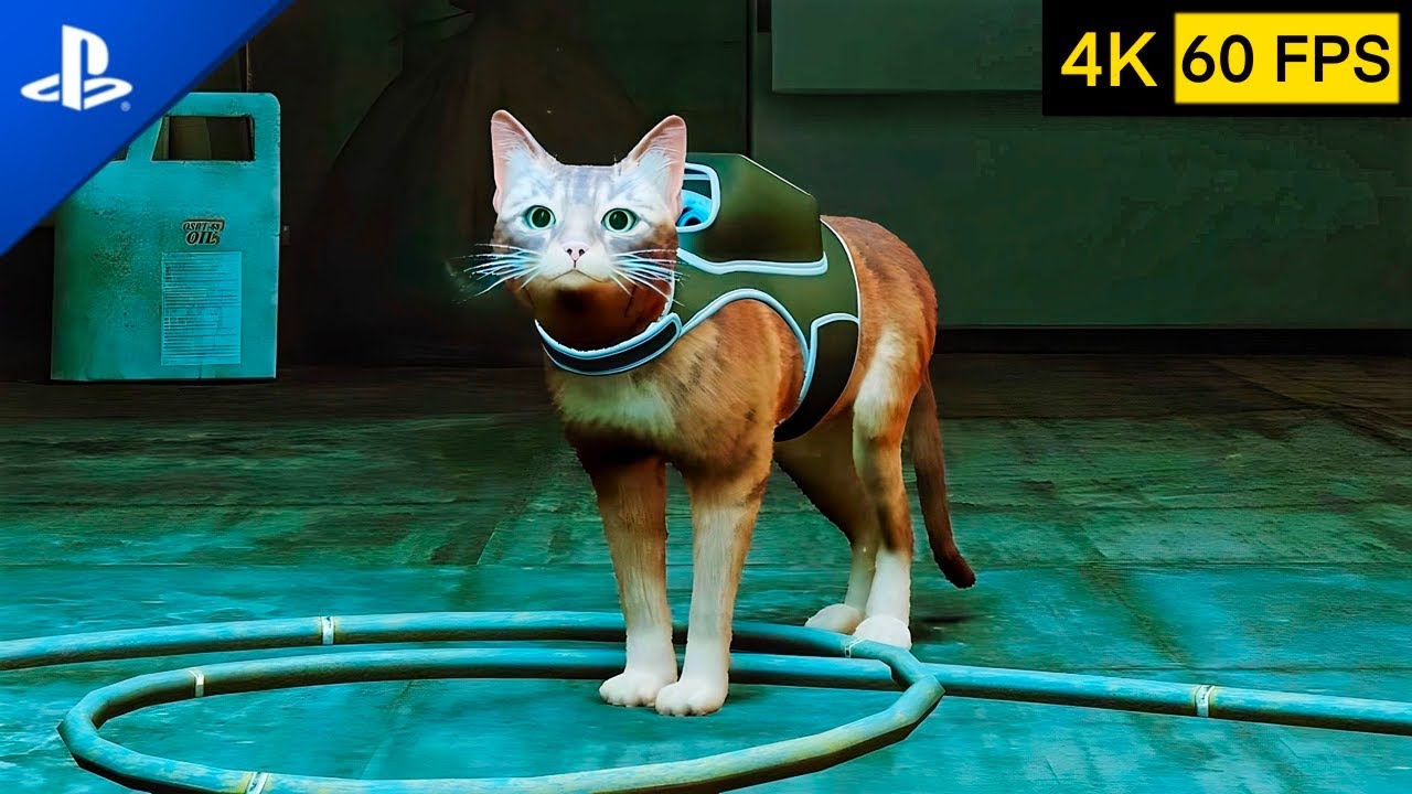 Cutest and one of the best games ever. |Stray| |PS5 4K 60 FPS| Gameplay ...
