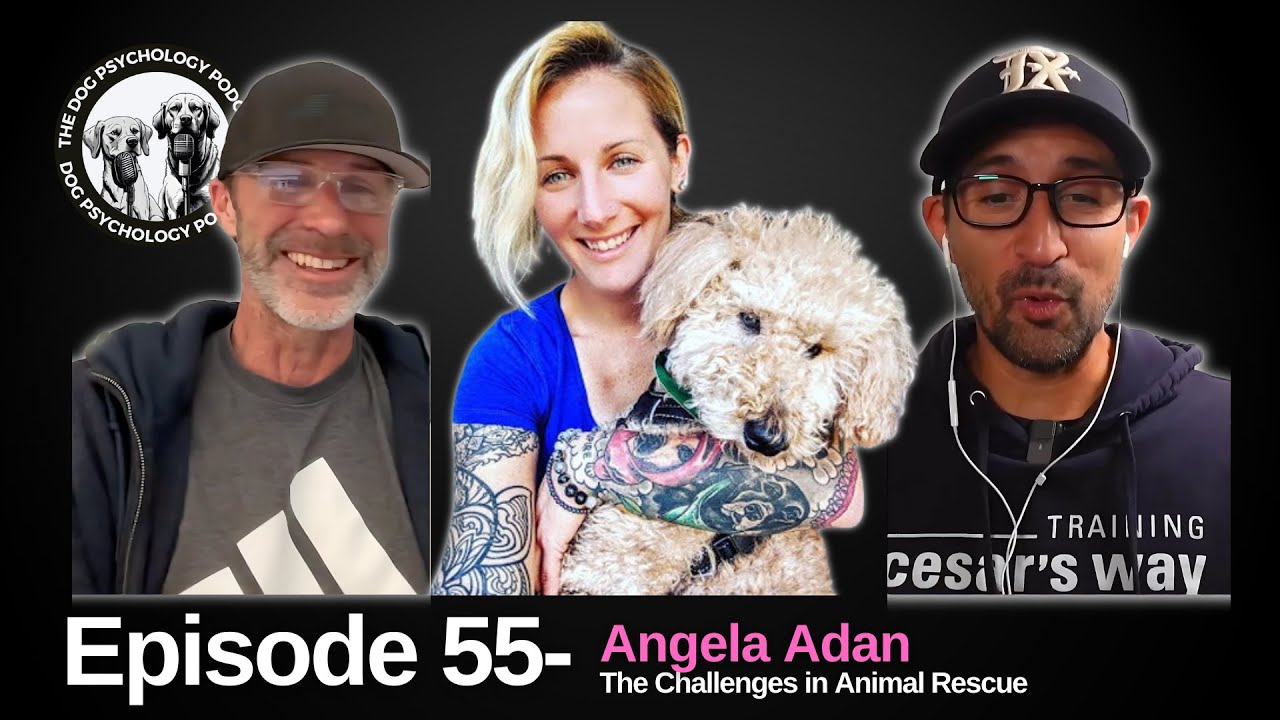 The Dog Psychology Podcast #055 Angela Adan Shares the Challenges in ...