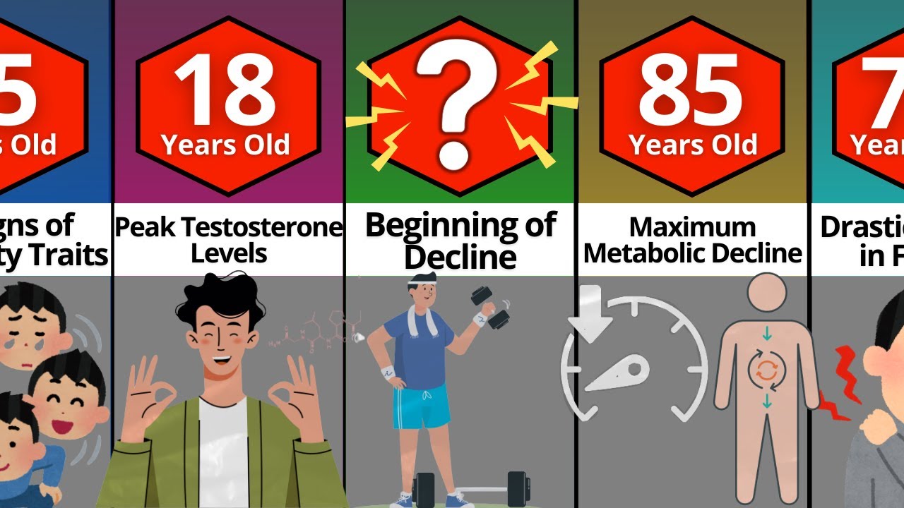 Timeline: From Peak to Decline – What Happens to the Male Body? - YouTube