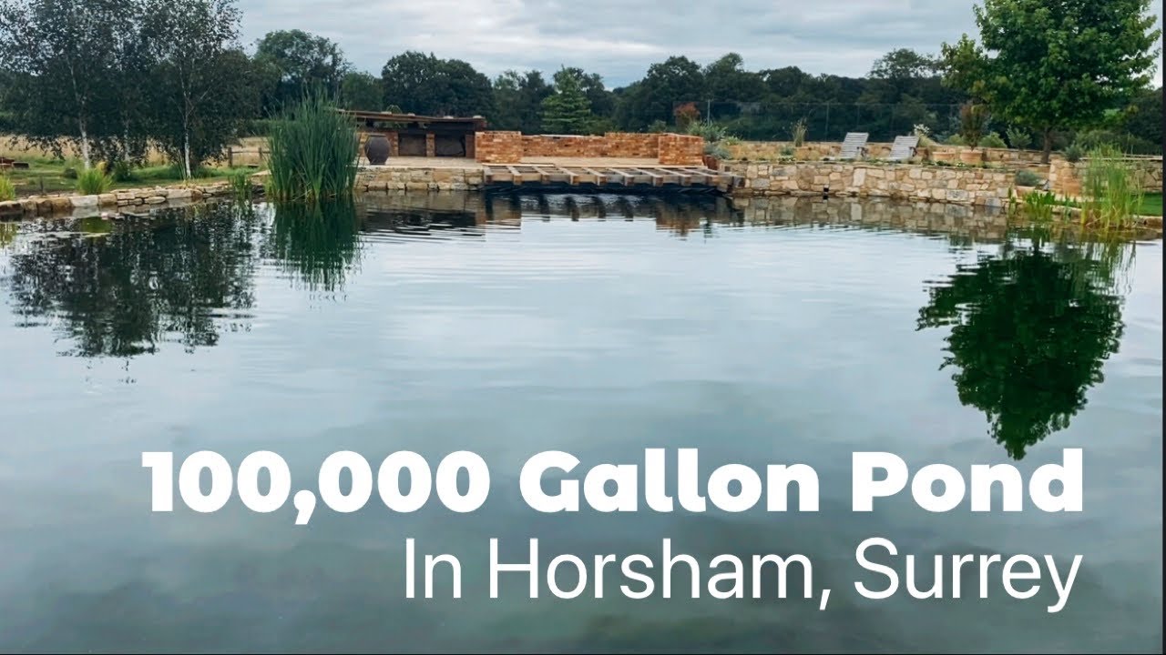 100,000 Gallon Pond Build in Horsham - YouTube
