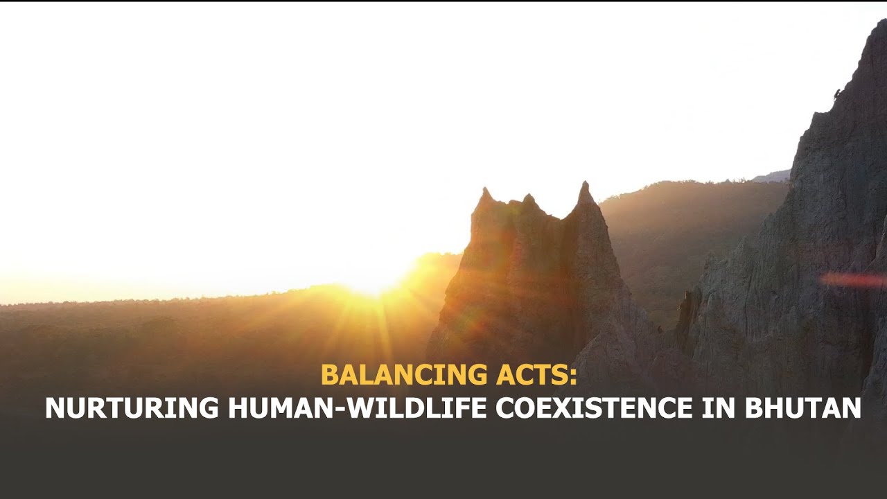 Balancing Acts: Nurturing Human-Wildlife Coexistence in Bhutan (English ...