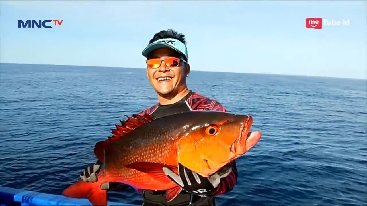 Baru Mancing Langsung Panen Ikan Kakap Batu atau Red Bass Part 01 ...