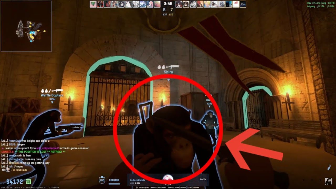 Top 6 CS2/CSGO Zombie Escape moments - YouTube