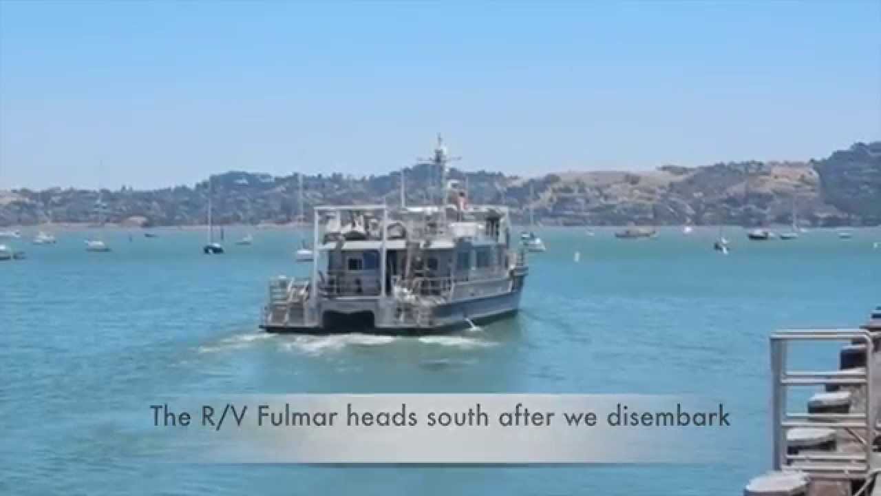 The R/V Fulmar leaves Sausalito - YouTube