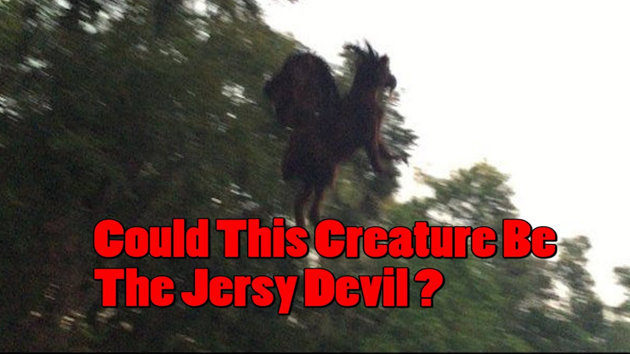 Man Claims Jersey Devil Sighting In Galloway Township. Is it Real? - YouTube