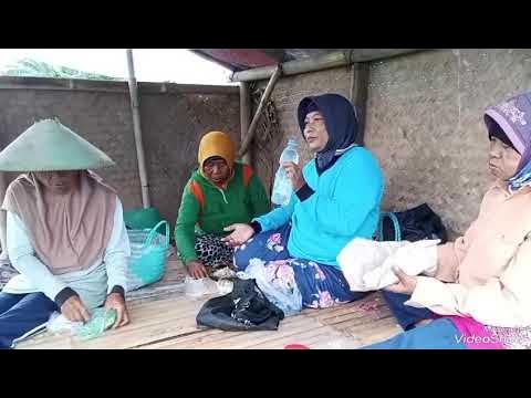Darma Yuda kamis 6 Februari 2025/Bos Rokim Surwi - YouTube