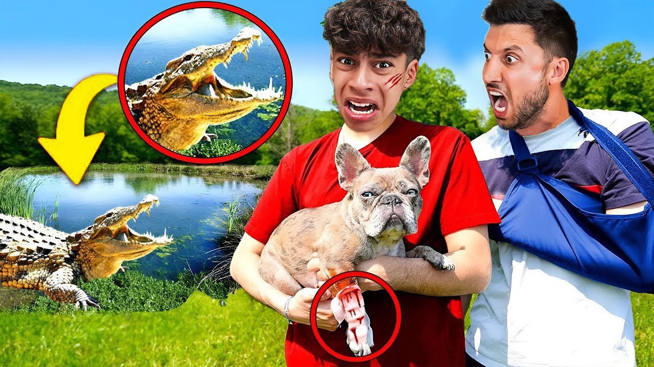 ALLIGATOR ATTACKED FERRAN..EMERGENCY! (The Royalty Family) - YouTube