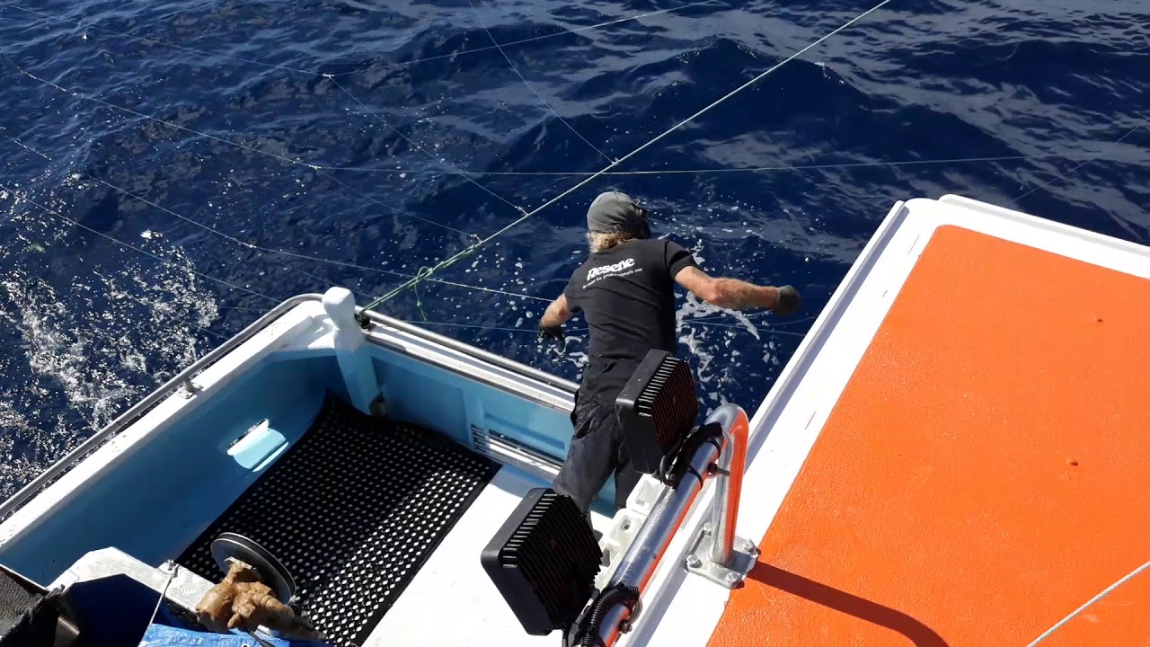 Albacore tuna trolling . - YouTube