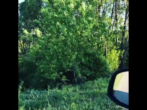 hareketli oyun havası arabada iyi gider