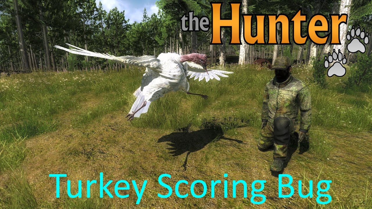the Hunter - Turkey Scoring Bug - YouTube