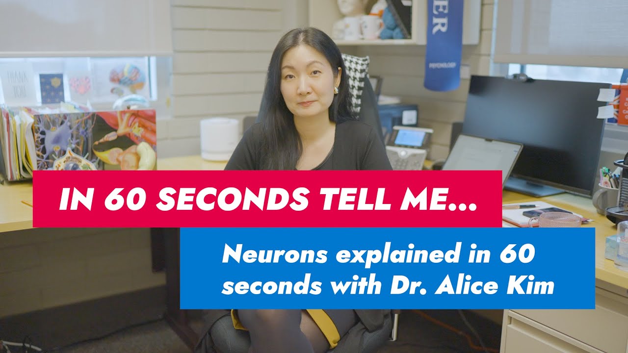 Neurons explained in 60 seconds with Dr. Alice Kim - YouTube