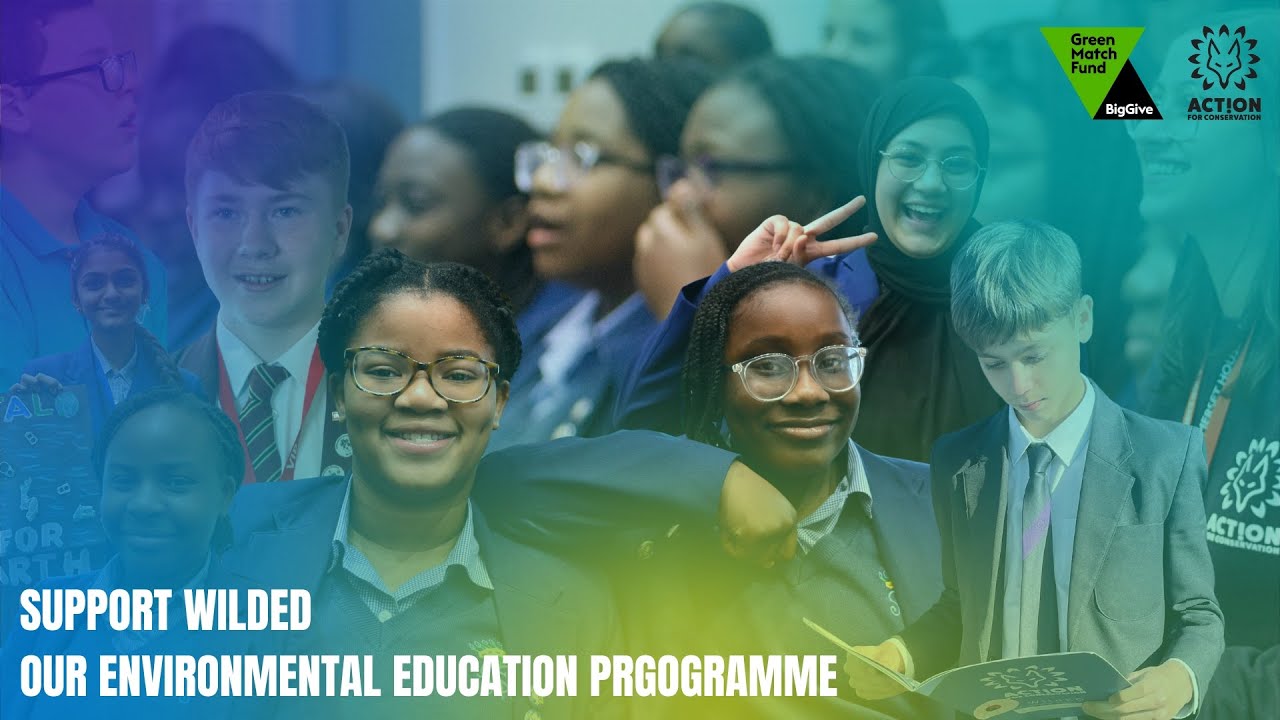 Support WildED - Our Environmental Education Programme - YouTube