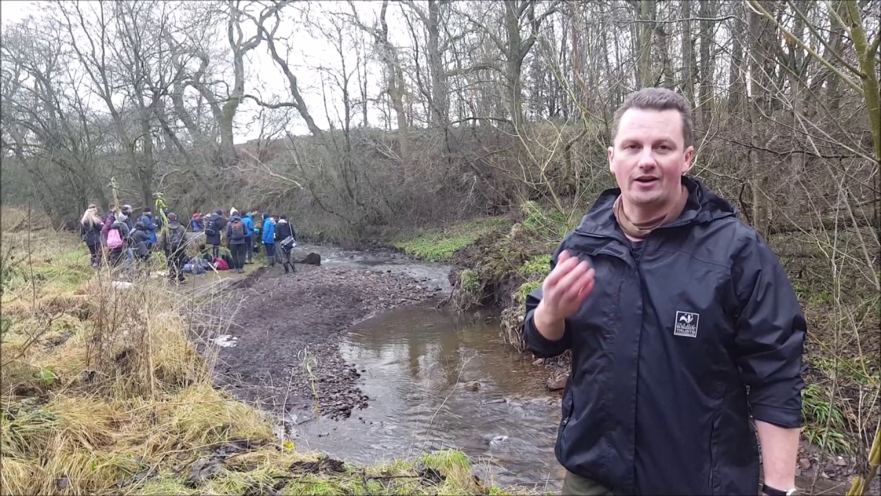 River work update from Senior Ecologist Nick Mott - Part Two - YouTube